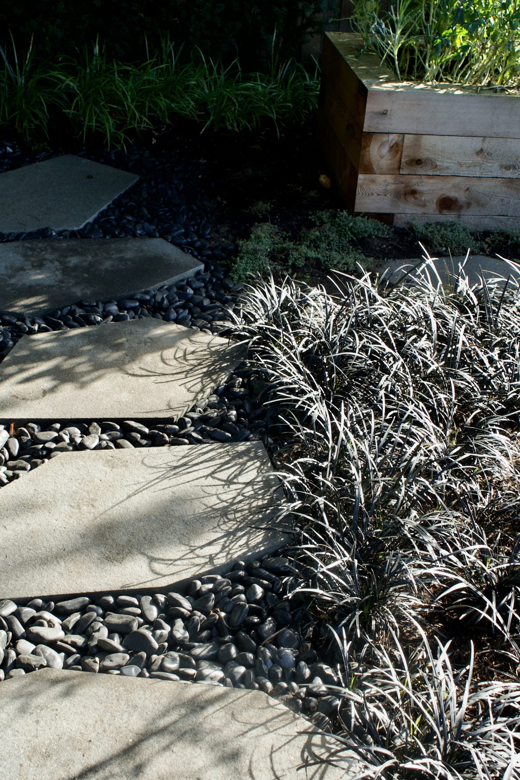 Softscape Gallery | GCLC