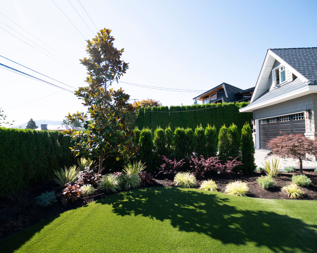 Softscape Gallery | GCLC