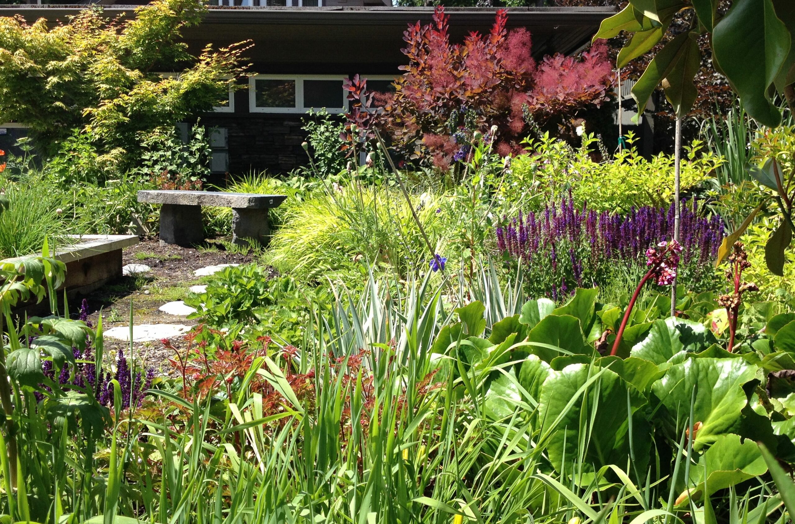 Softscape Gallery | GCLC