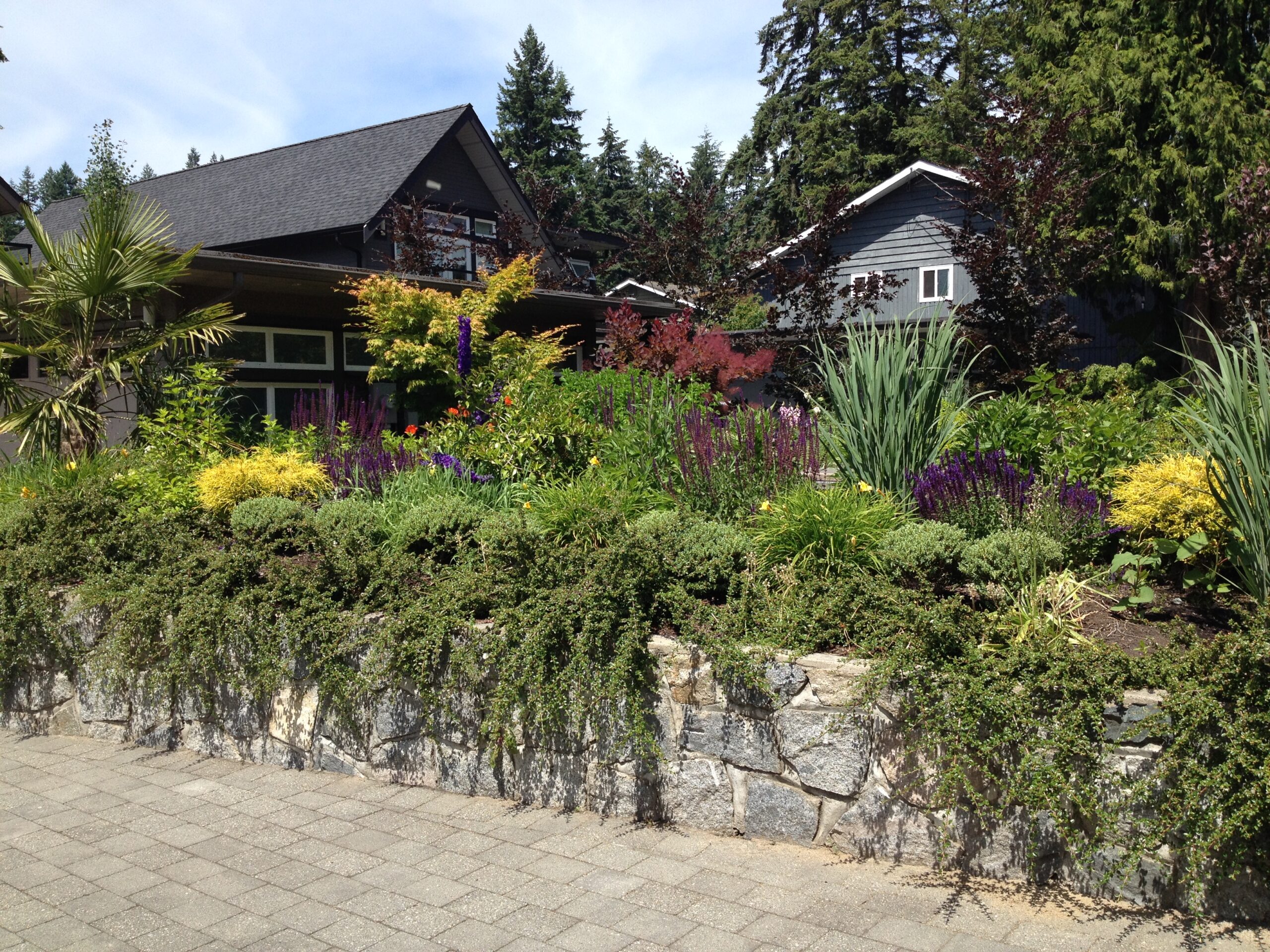 Softscape Gallery | GCLC