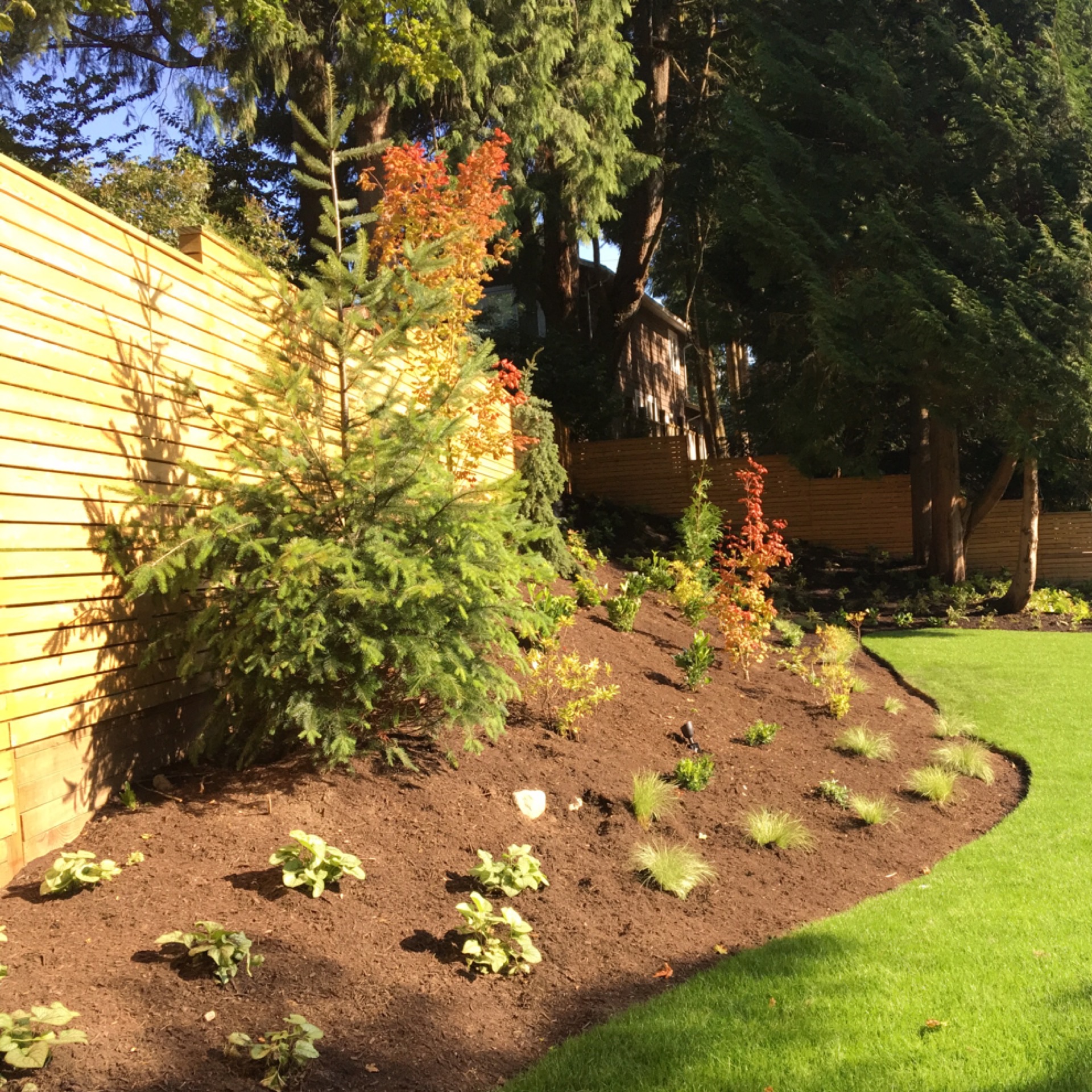 Softscape Gallery | GCLC