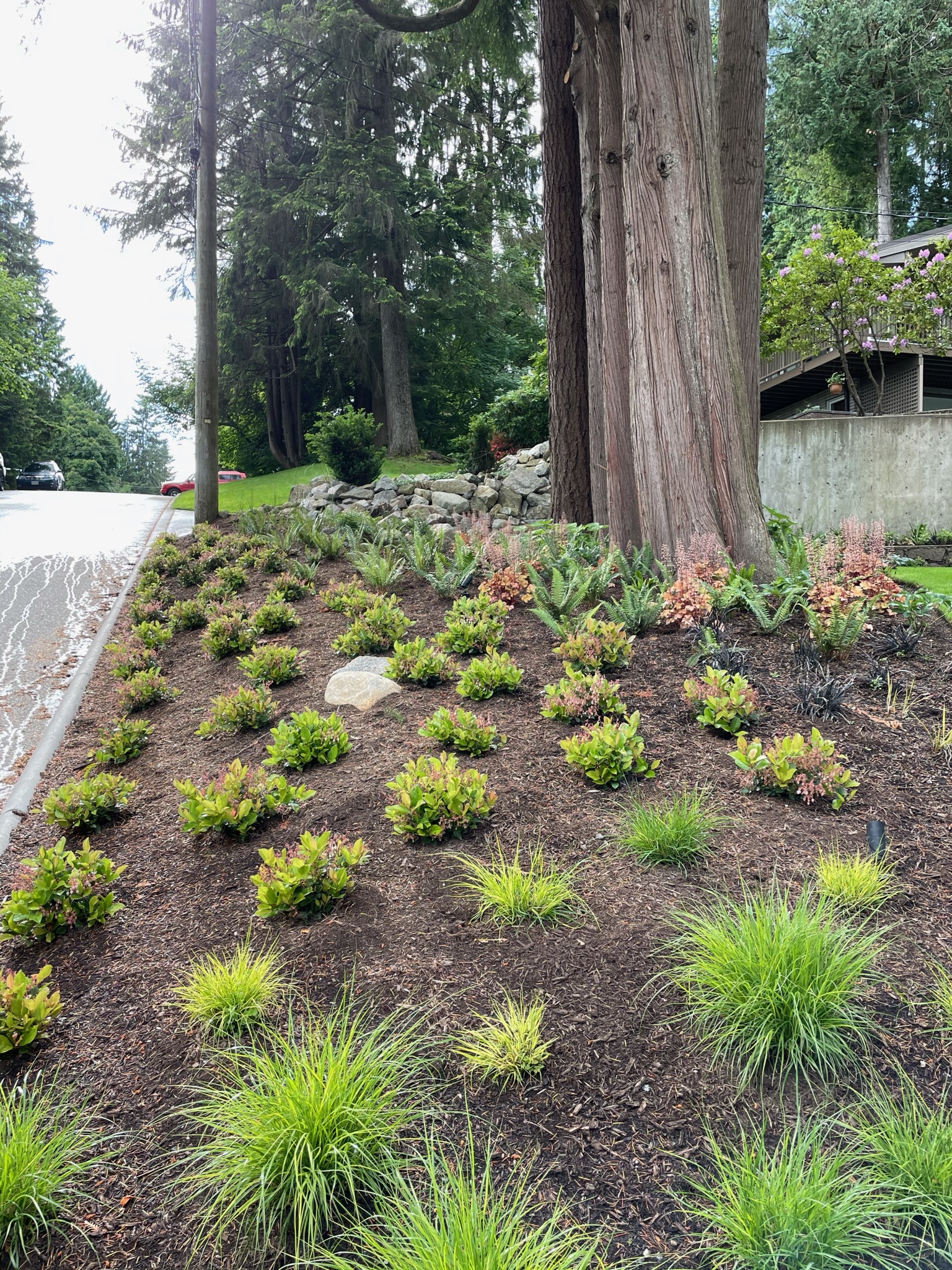 Softscape Gallery | GCLC