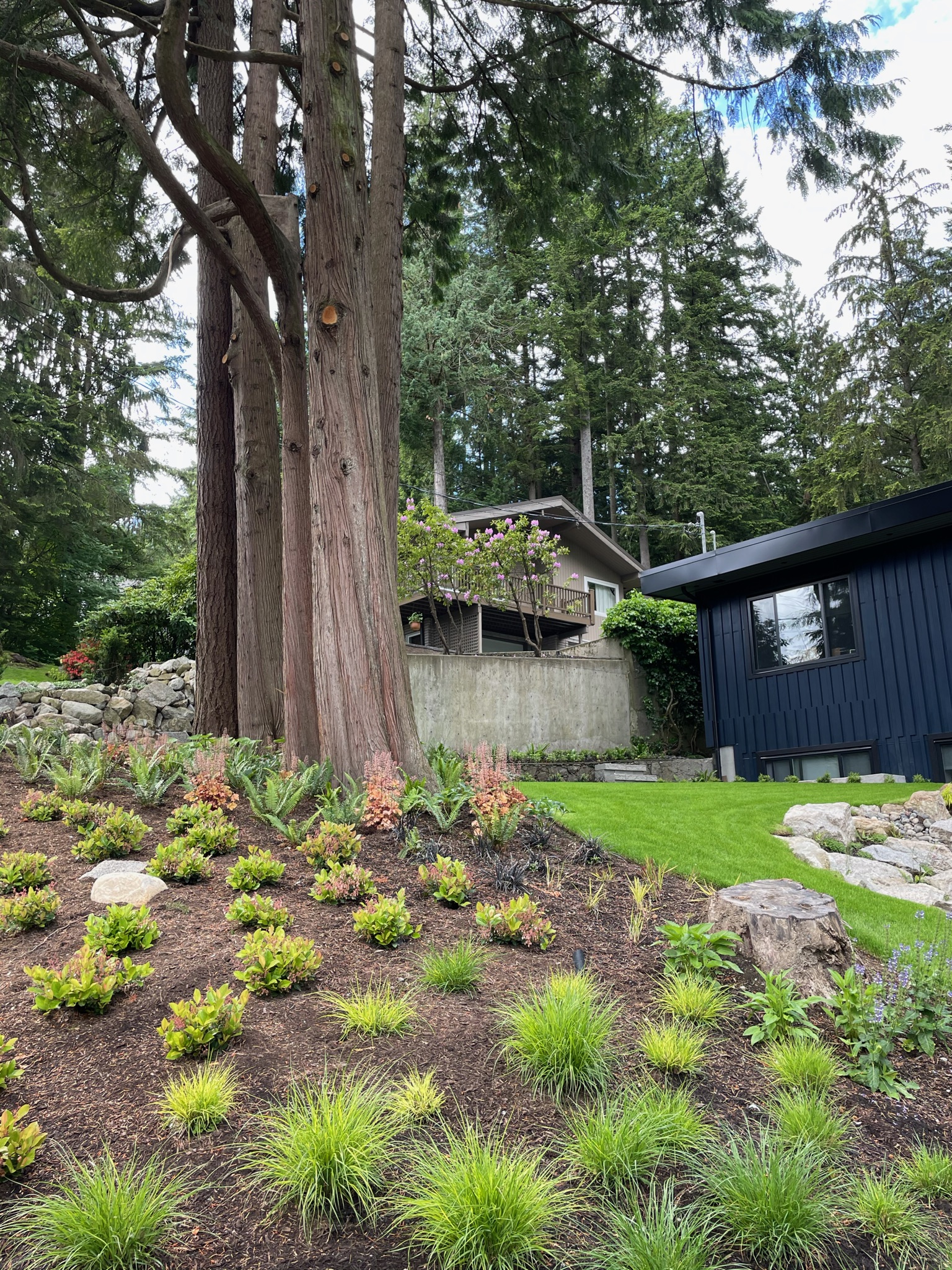 Softscape Gallery | GCLC