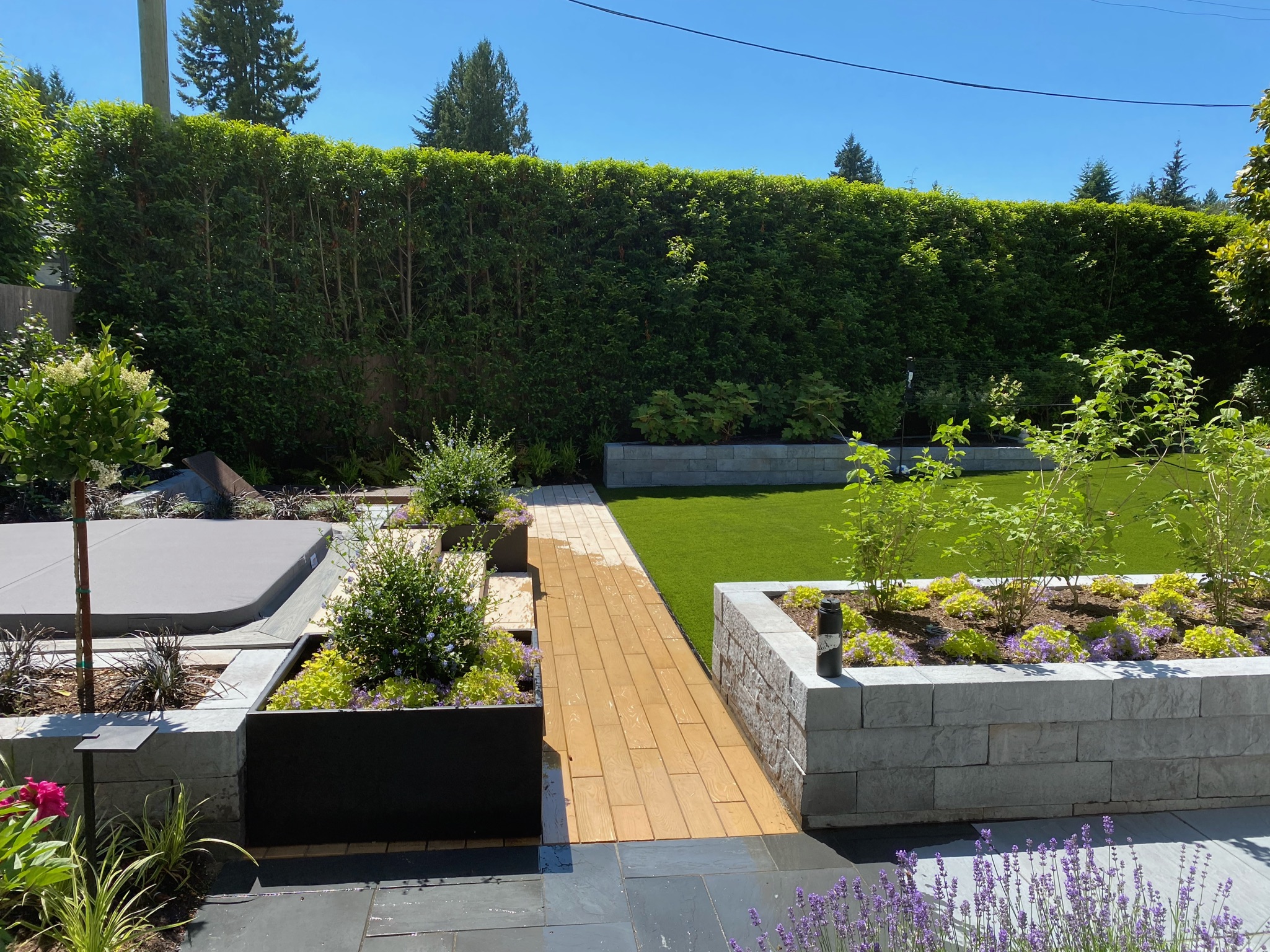 Softscape Gallery | GCLC