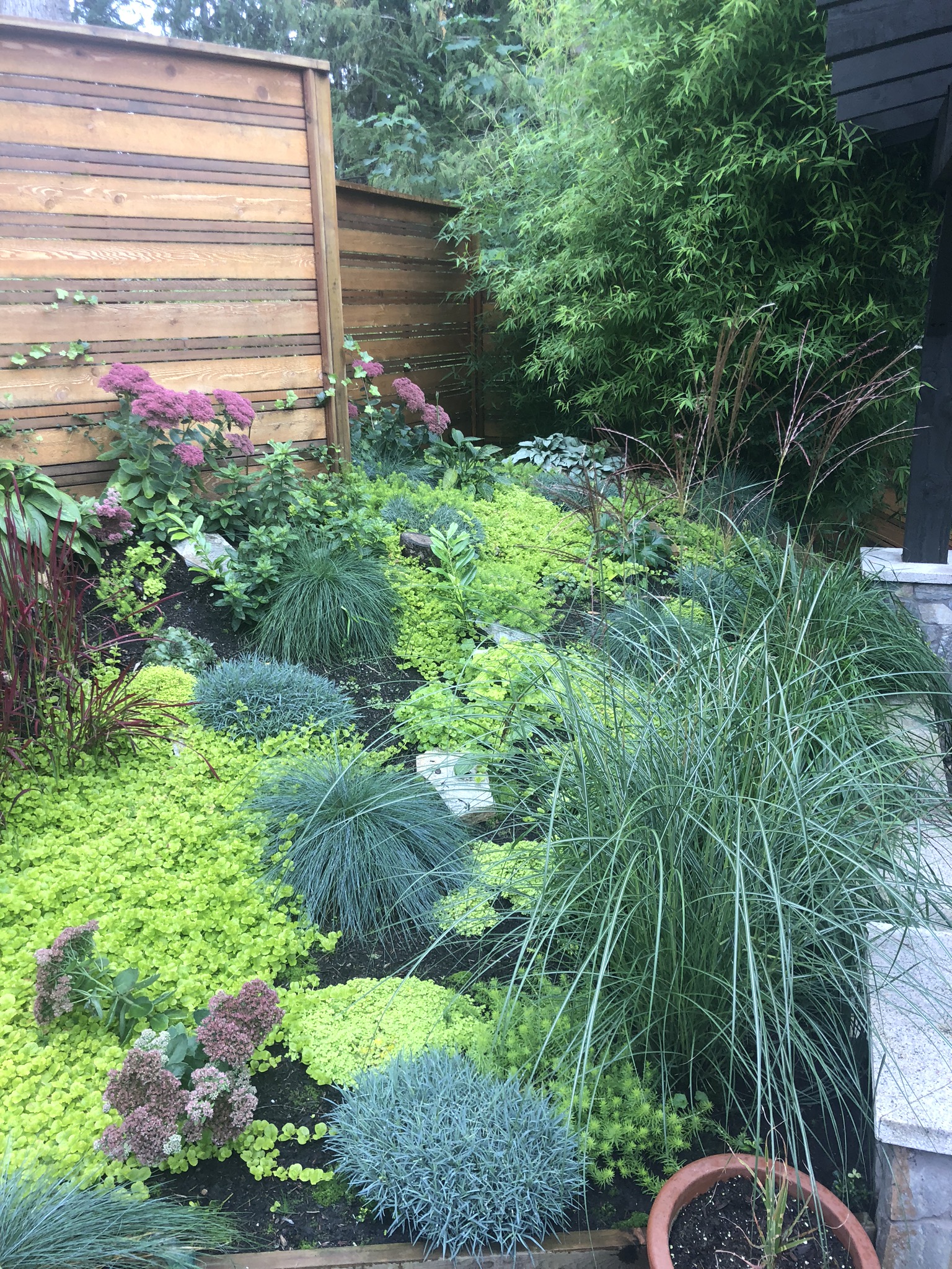 Softscape Gallery | GCLC