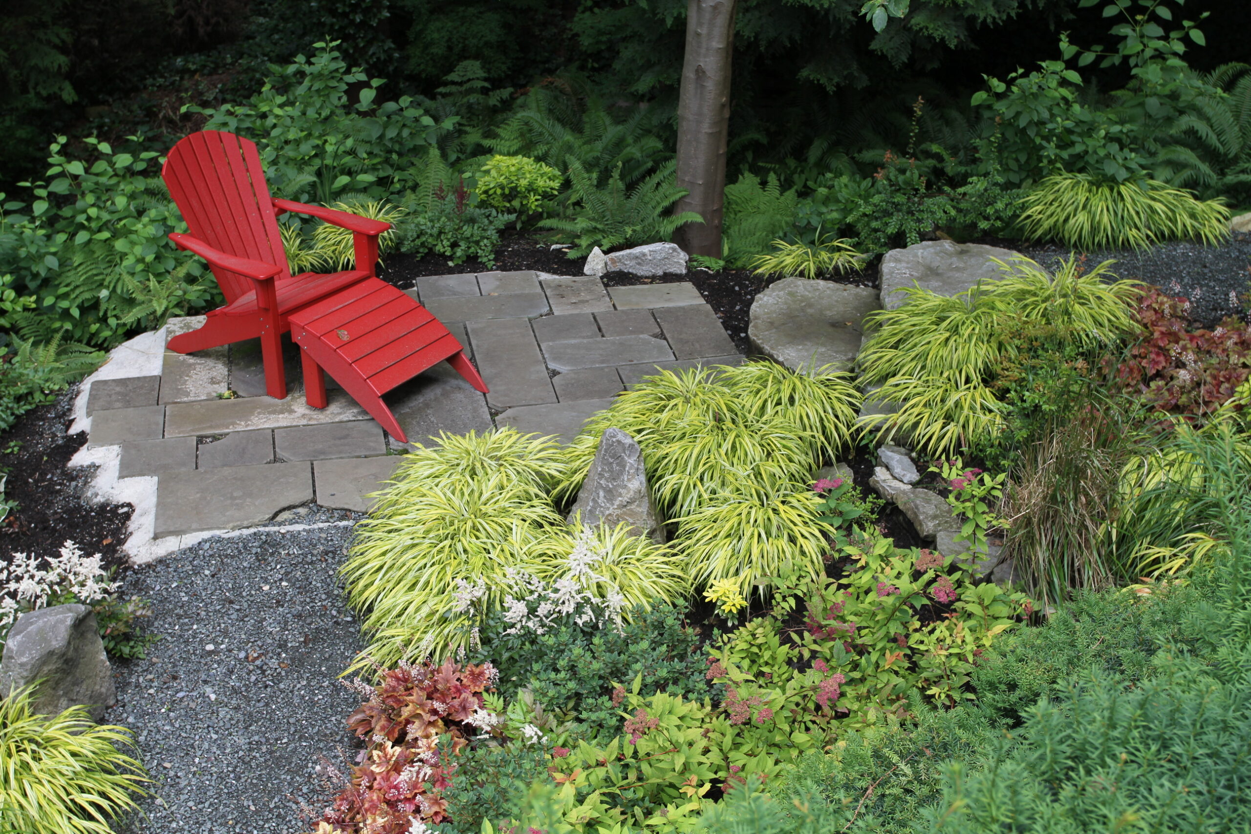 Softscape Gallery | GCLC