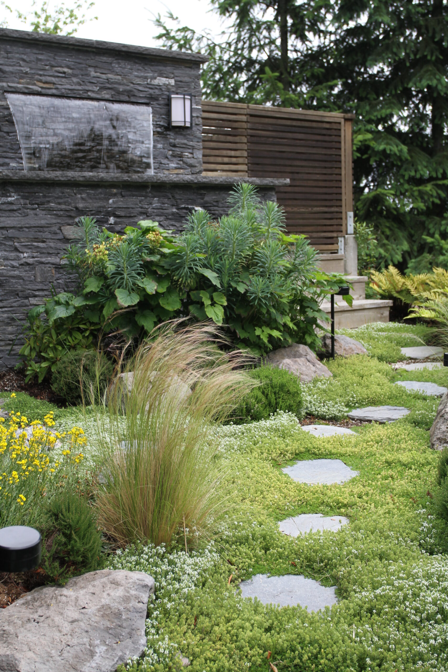 Softscape Gallery | GCLC