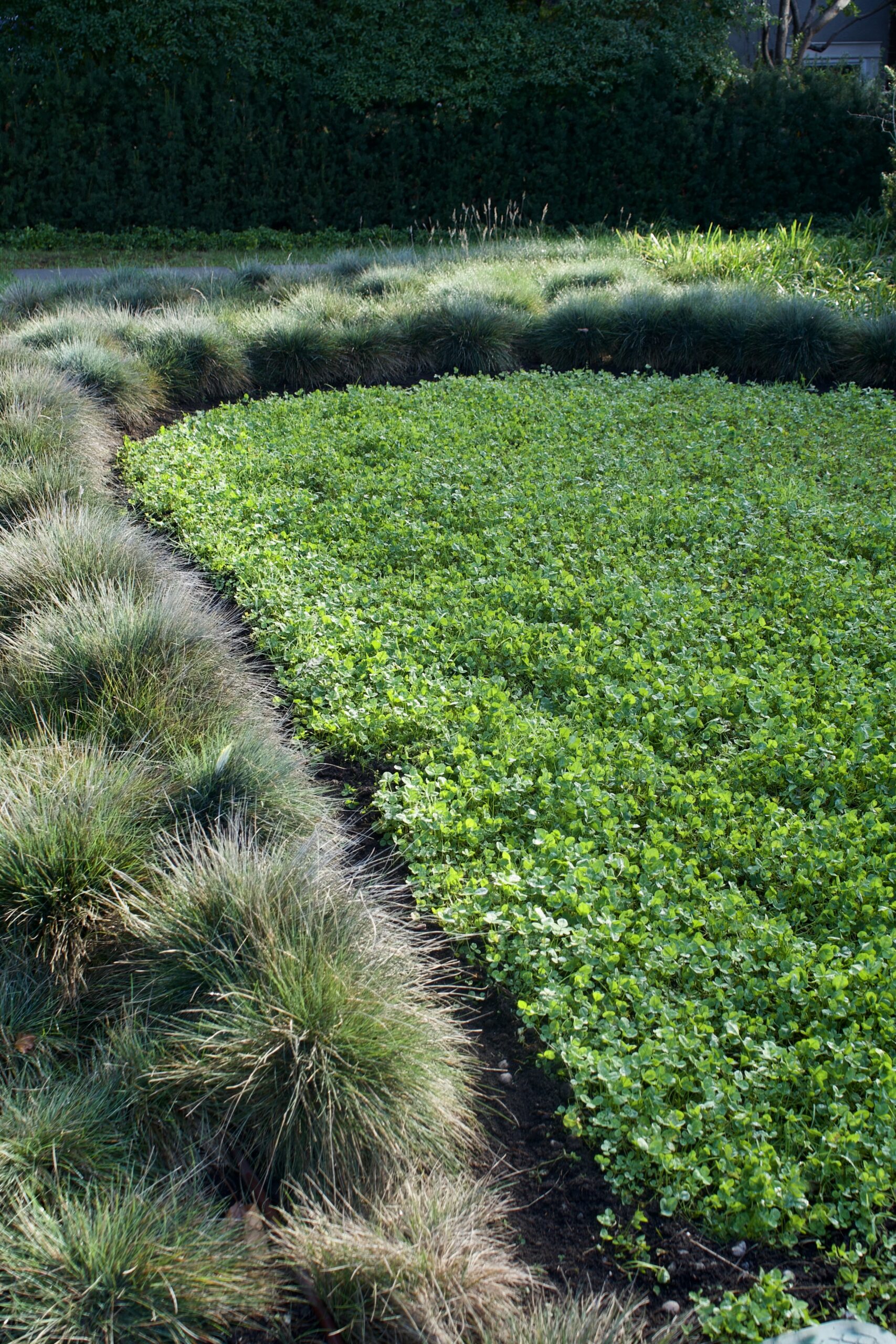 Softscape Gallery | GCLC