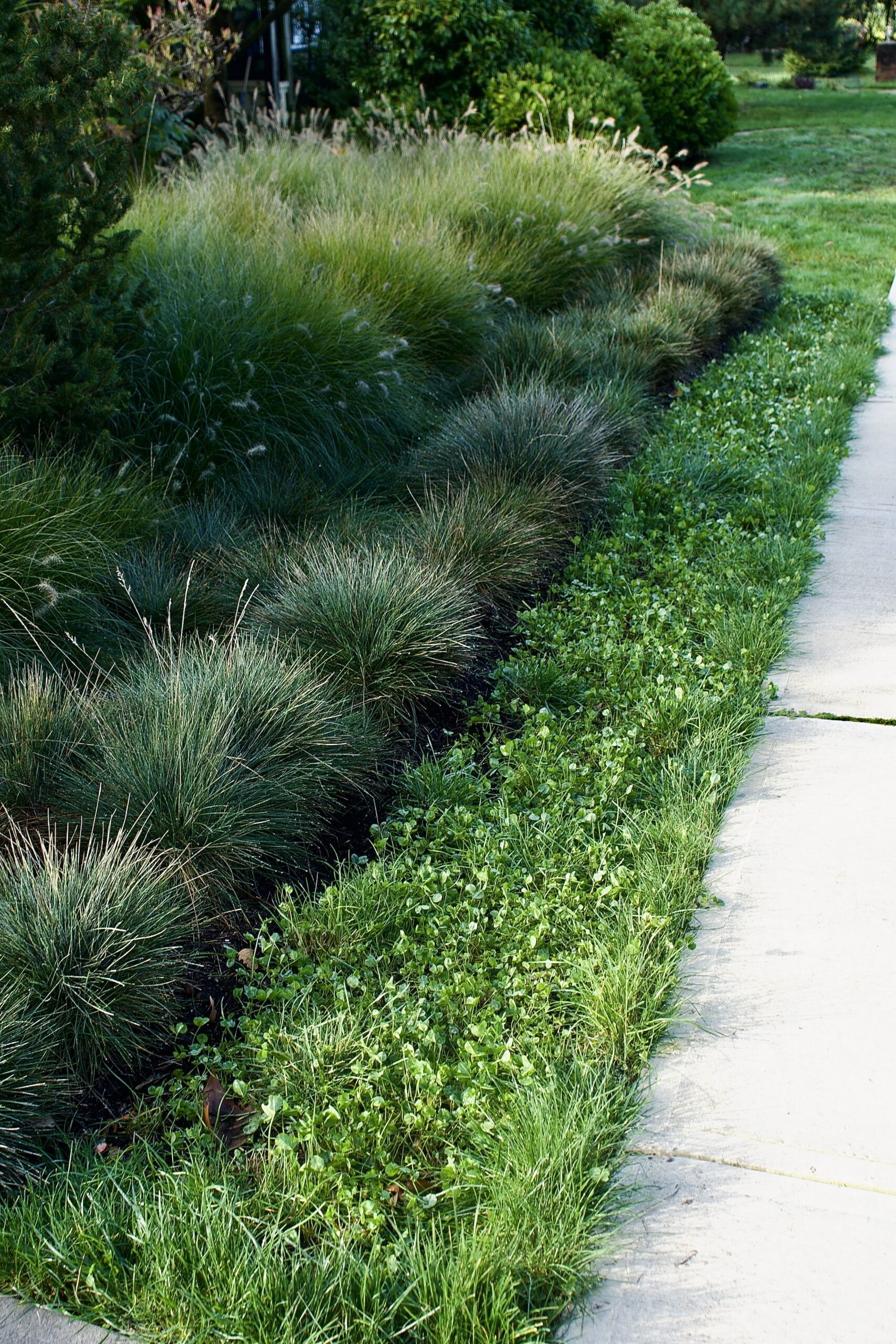 Softscape Gallery | GCLC